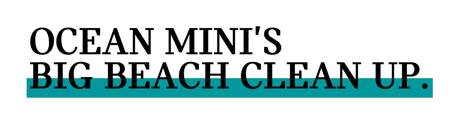 Ocean MINIs Big Beach Clean! | Ocean Group MINI